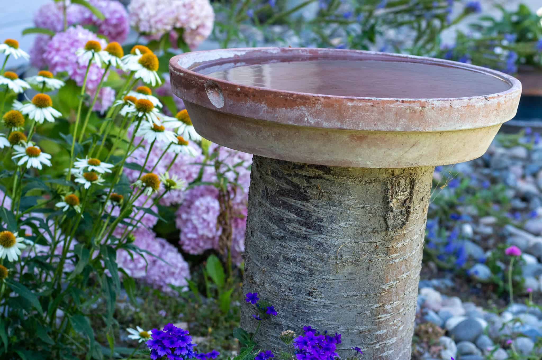 How to Make a Decorative Water Bowl for Pollinators - Pinecone Cottage ...